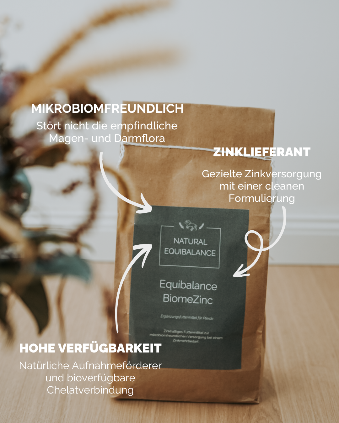 Equibalance BiomeZinc 750 g